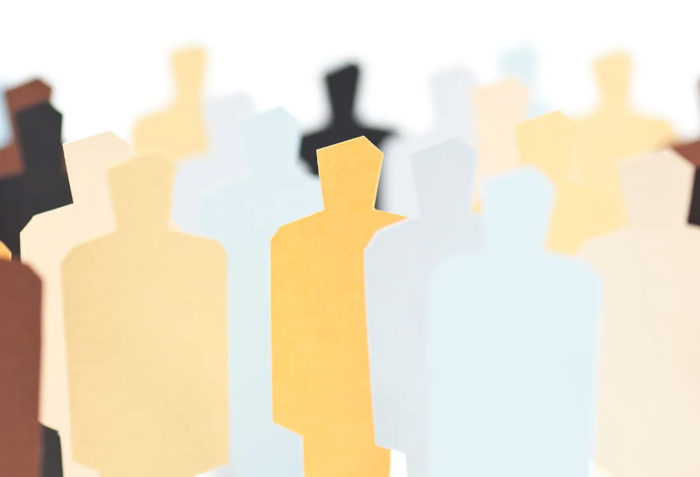 Fomentant la Diversitat i la Inclusió: Una aposta per l'èxit en l ...